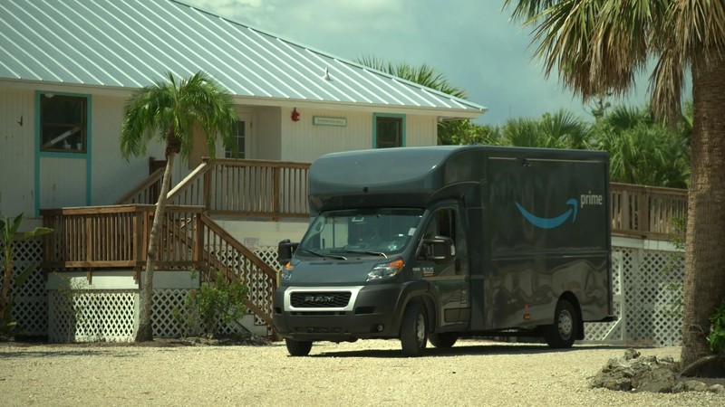 Porch pooper: Security cameras catch Amazon driver delivering more than ...