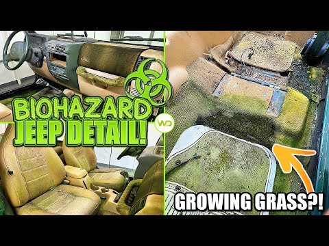 Deep cleaning the moldiest biohazard Jeep ever with disaster detail