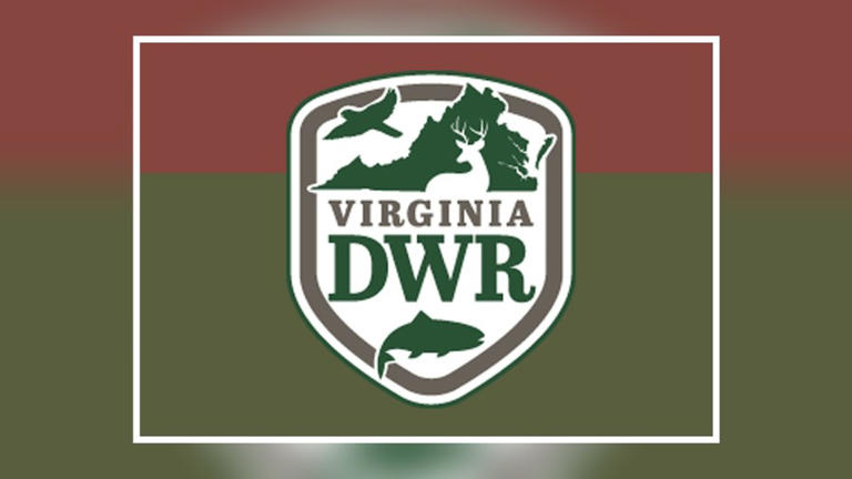 Triple Crossing Beer partners with Virginia Department of Wildlife ...