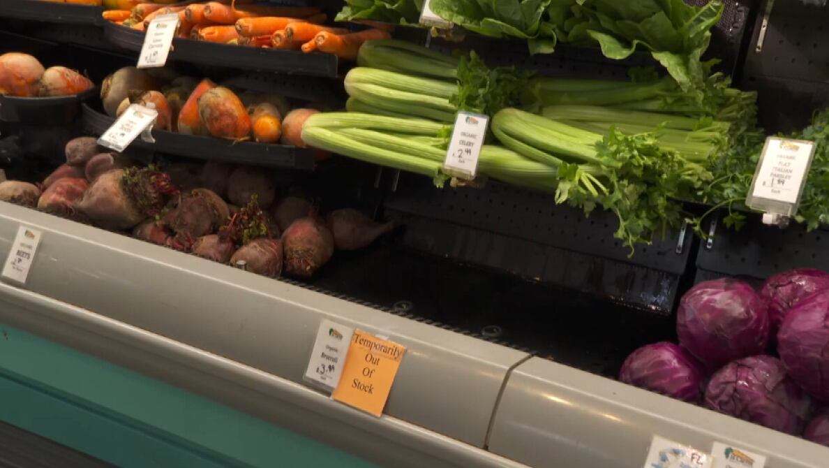 Alabama DHR releases new feature to prevent SNAP benefit scams