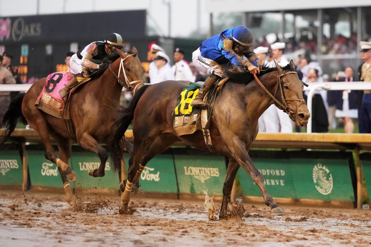 Journalism es el favorito para ganar la 150ma edición de Preakness Stakes
