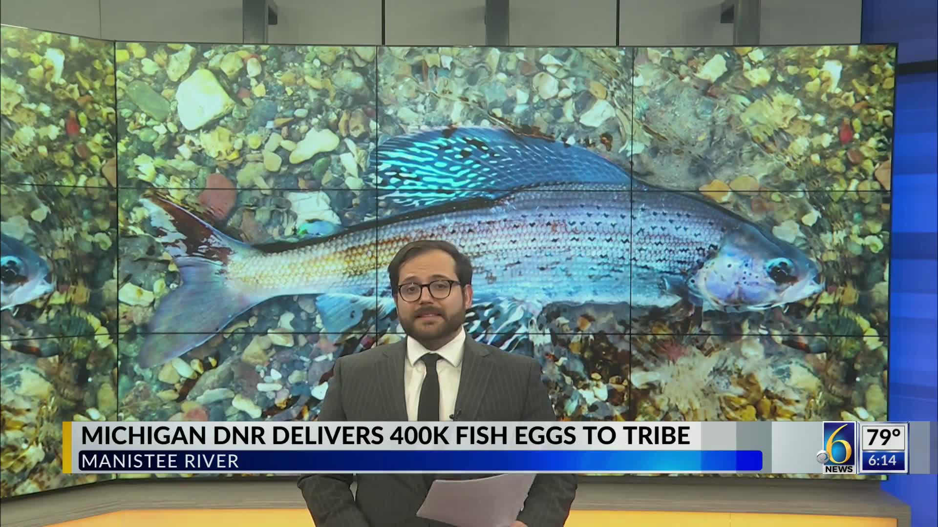Michigan DNR delivers 400K fish eggs to tribe