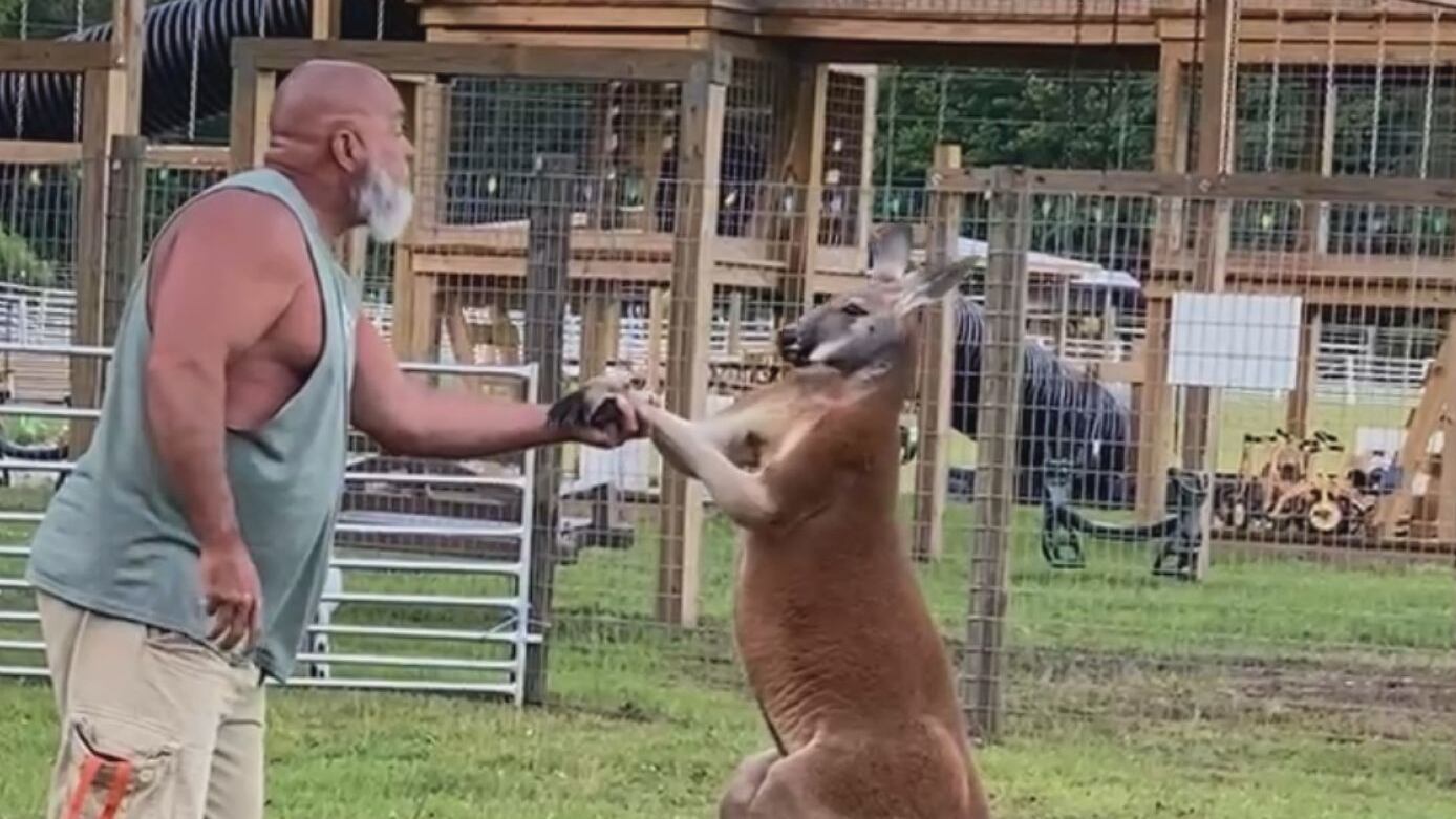 S.C. farm owner speaks out after brother found dead in kangaroo enclosure