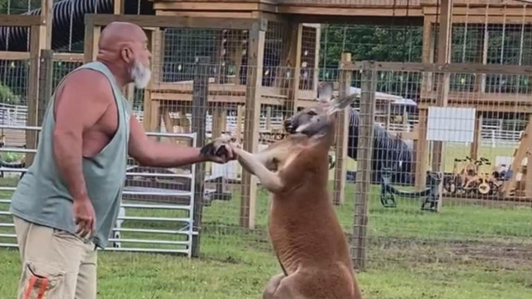 S.C. farm owner speaks out after brother found dead in kangaroo enclosure
