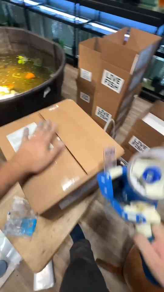 I Gave Away Lil Dumpy Today