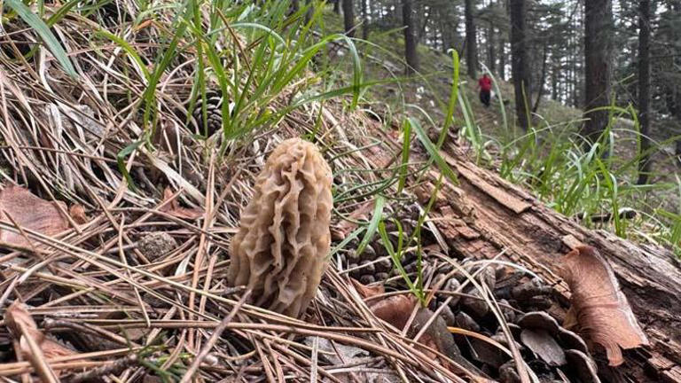 Tüm köy ihya oldu: Altın bulsak belki bu kadar sevinmeyiz