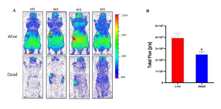 Every Human Body Gives Off an Invisible Glow. Here’s What It Means.