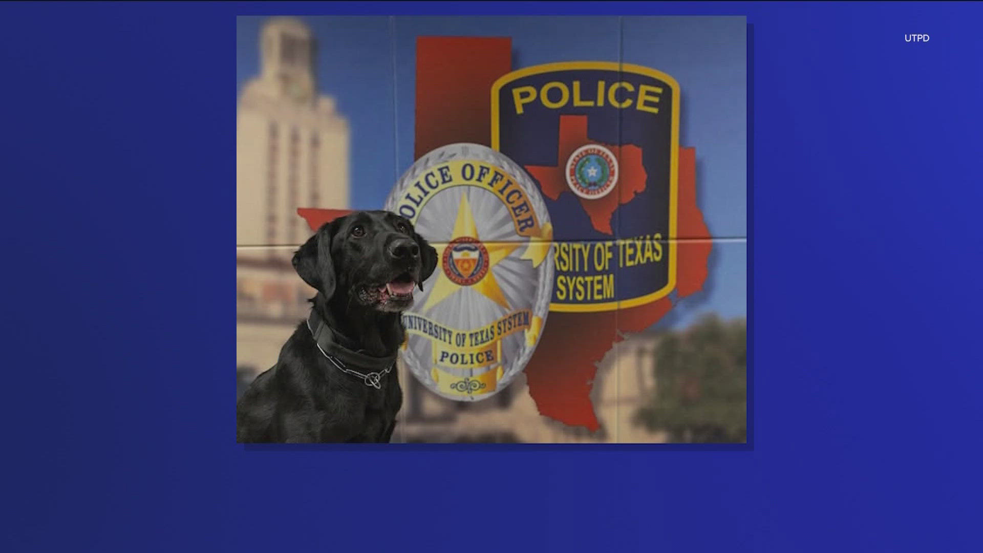 New K9 joins UT Austin Police Department