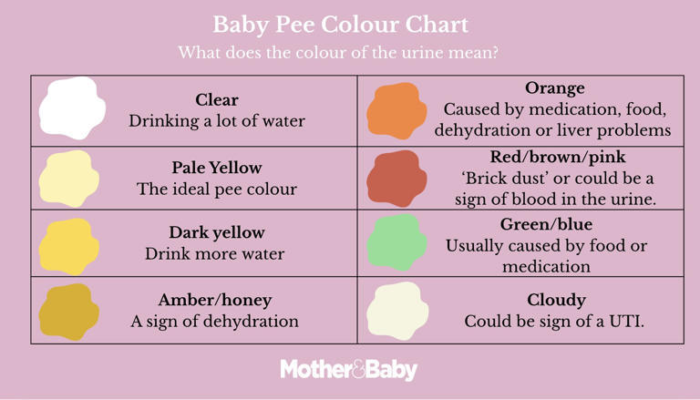 The ultimate baby pee guide: Smell, colour, frequency, what’s normal and when to worry