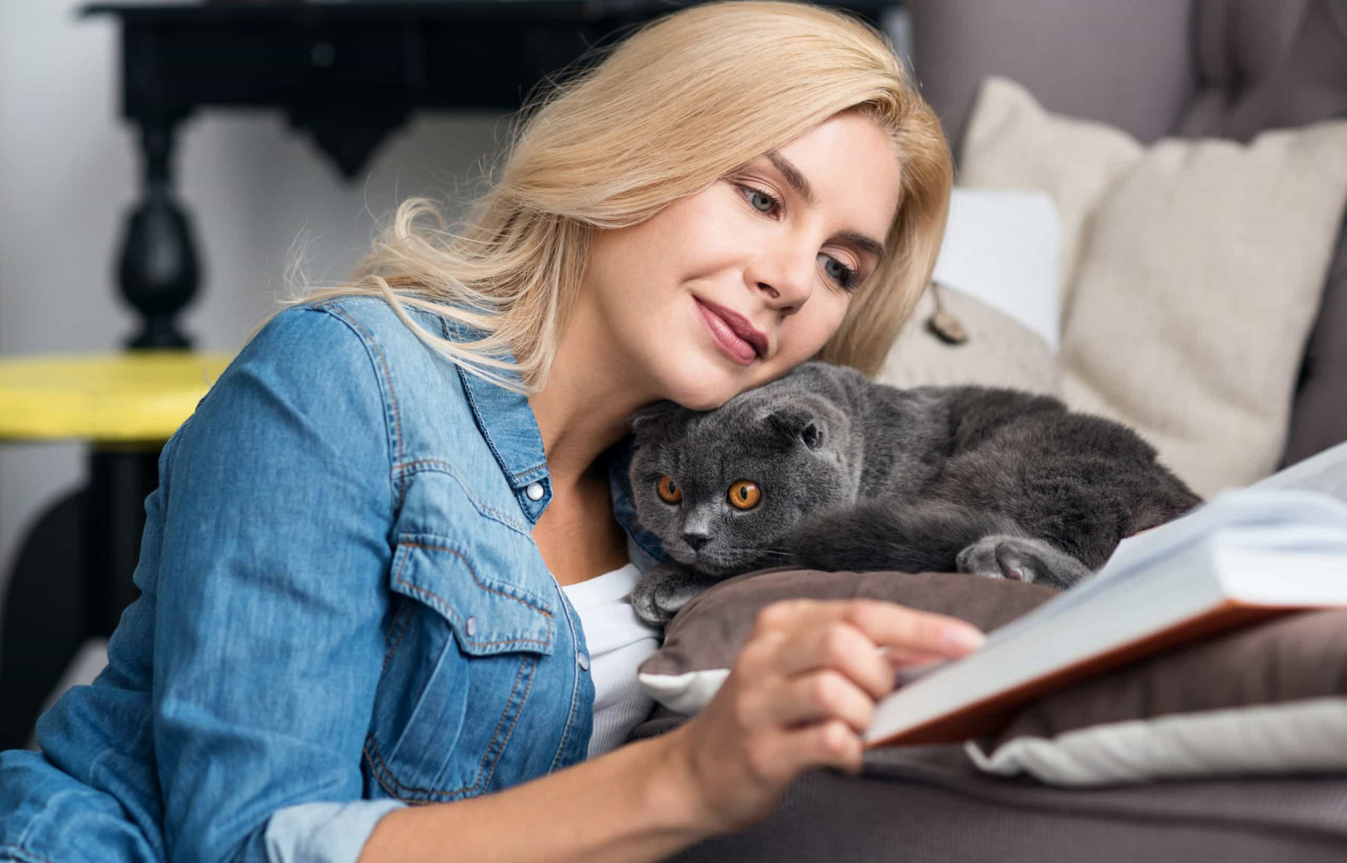 Wie Sie Ihre Katze für sich gewinnen