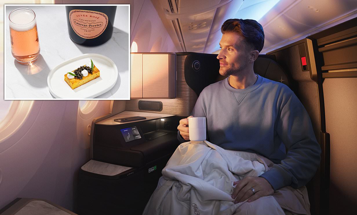 Caviar for the few, cuts for the many: US's biggest airline unveils ...