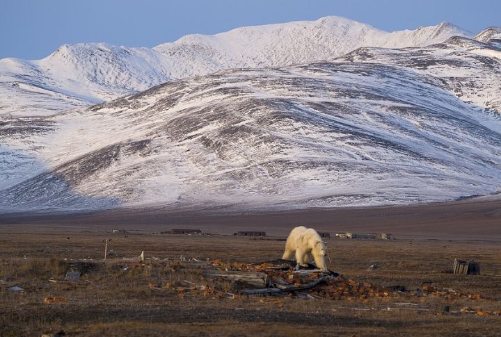 10 Ancient Migration Routes Uncovered By Melting Permafrost