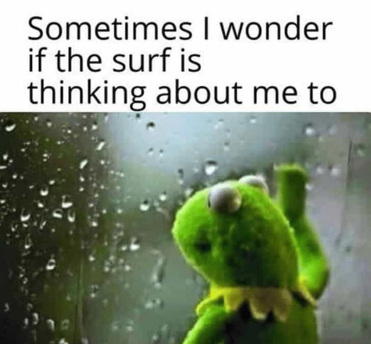 33 Funny Surfing Memes That Totally Shredded Our Last Brain Cell