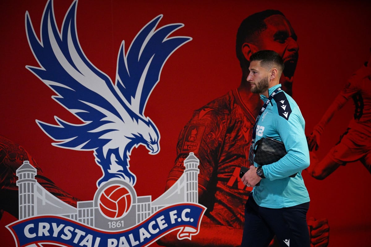 Joel Ward: Crystal Palace confirm captain to leave after 13 years