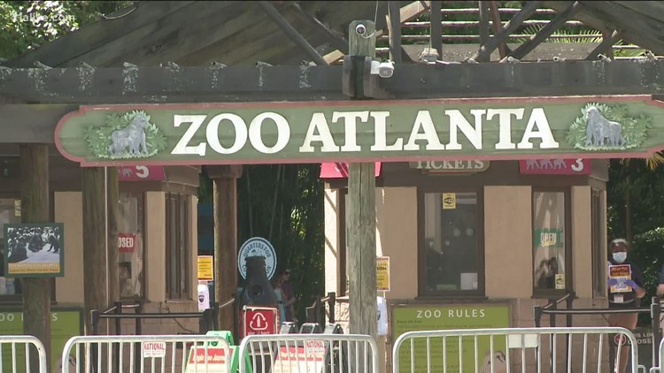 Zoo Atlanta now offering $6 tickets for SNAP participants