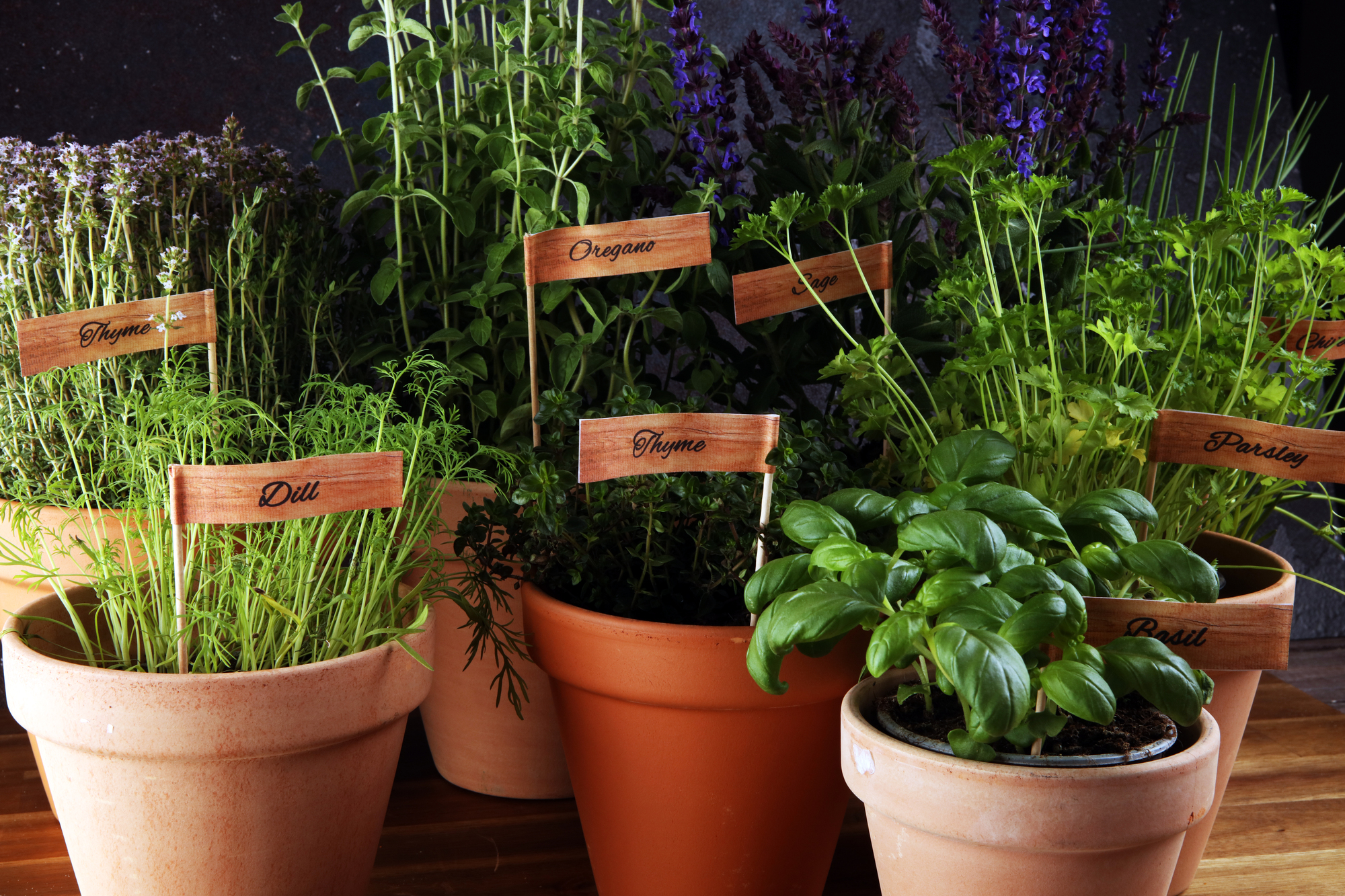 16 Herbs That Are Easier to Grow Than You Think