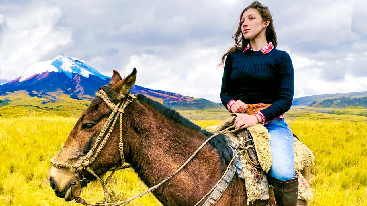 Sharing what I do when I am not at the worst reviewed artist