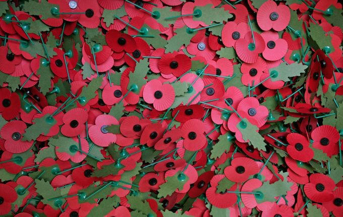 Here’s Why the Poppy Is a Symbol of Memorial Day