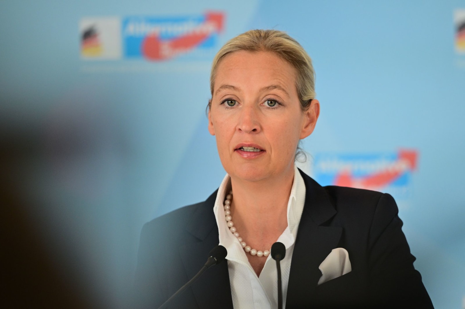 Germany's far-right AfD demands sympathy for Russian position