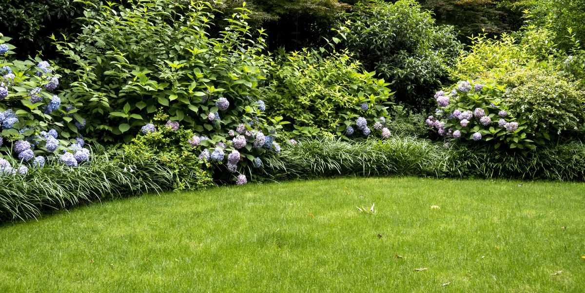 These Are the Four Mistakes That Could Be RUINING Your Yard