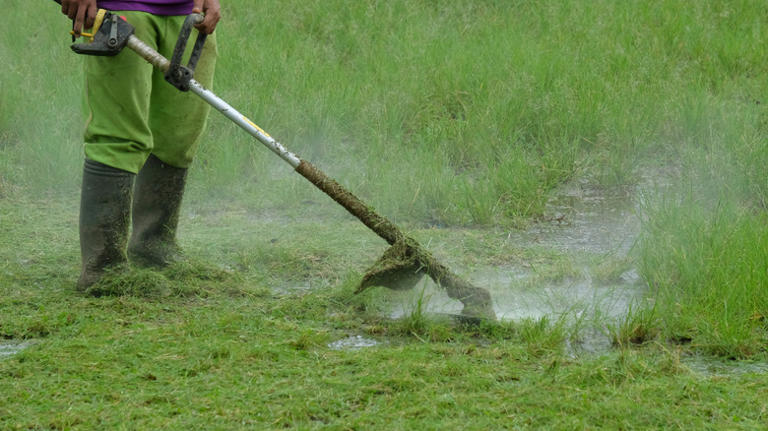 Can You Safely Use Your EGO Tools In The Rain? Here's What The Brand Says