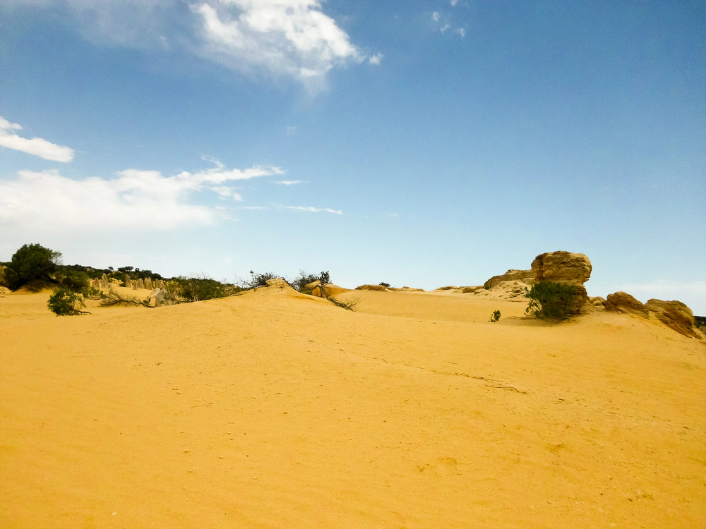 15 Uncommon Items Found Buried in Deserts