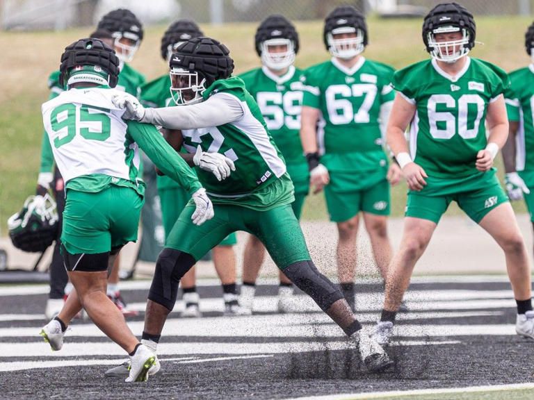 Davis: CFL's Saskatchewan Roughriders happy to get their Yoshi back ...