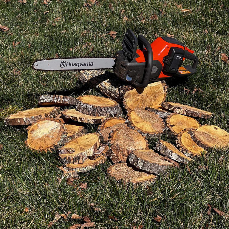 The best chainsaws: big gas saws from Stihl and Husqvarna had big ...