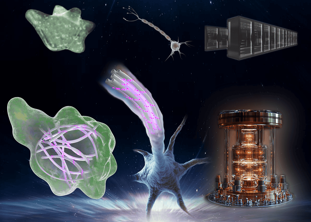 Cells Might Be Doing Quantum Computing. Life on Earth Has Performed ...