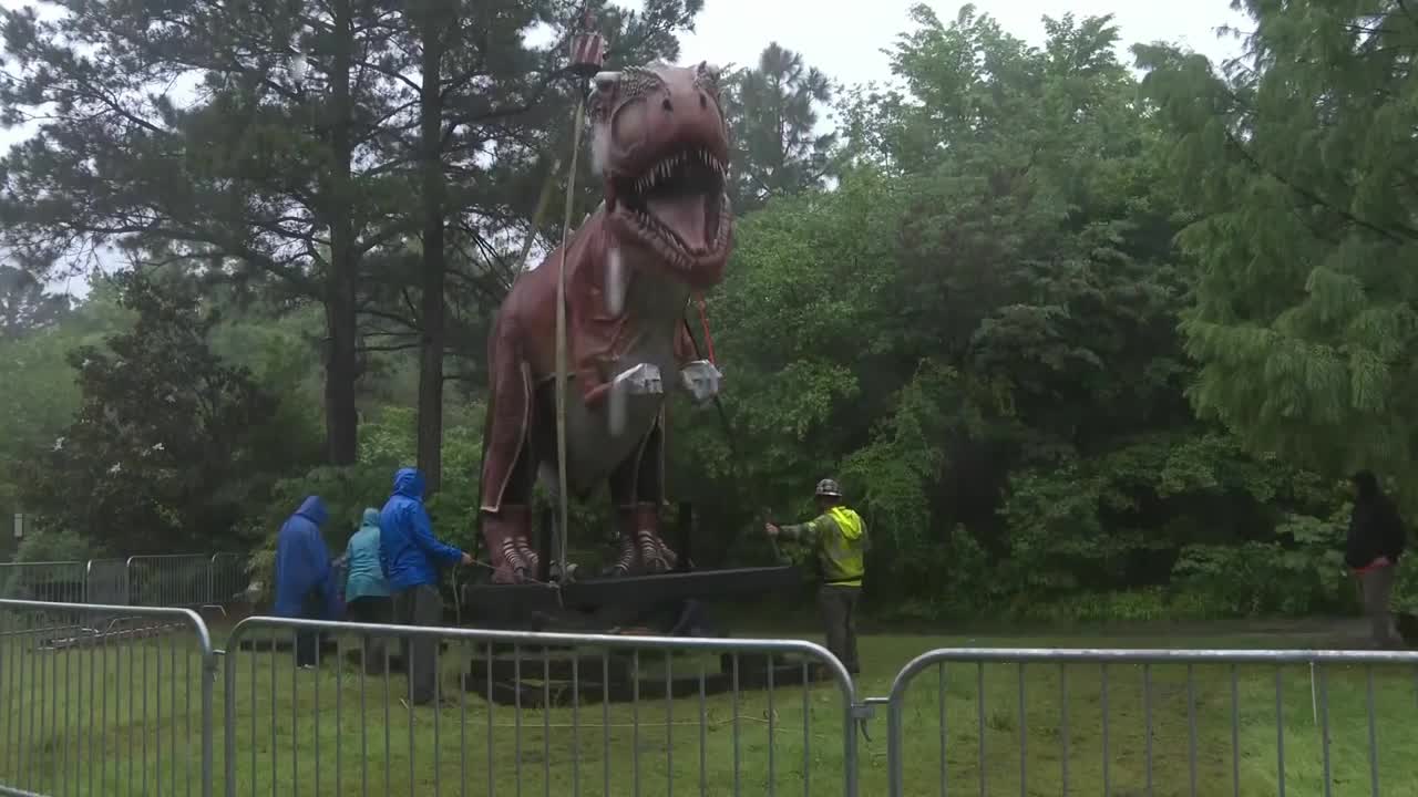 Watch: First look at Virginia Living Museum's Giganotosaurus dinosaur model
