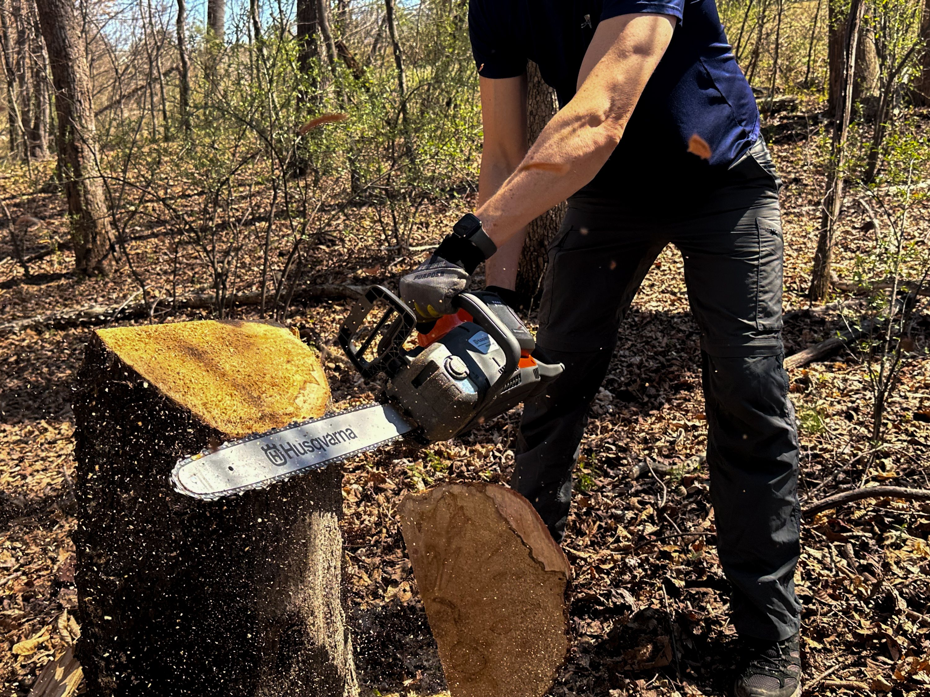 It Finally Happened. The Best All-Around Chainsaw Is Electric, Not Gas