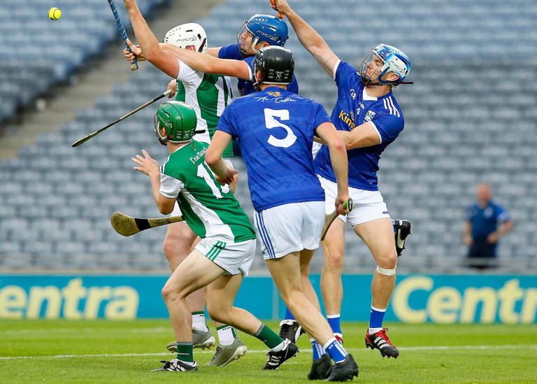 National Head of Hurling William Maher wants to bridge ‘staggering’ gap ...