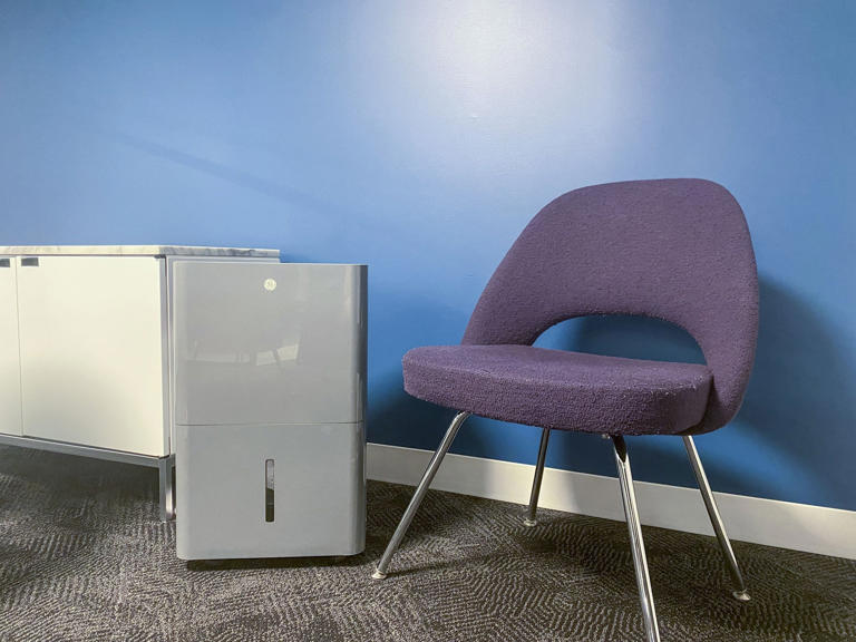 Got a musty attic or damp basement? These humidifiers pull pints of ...