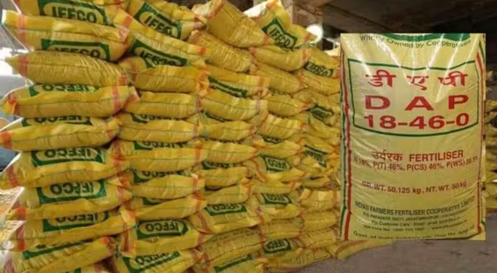 DAP Import: चीन से डीएपी आयात में भारी गिरावट, जुलाई में सिर्फ 97 हजार ...