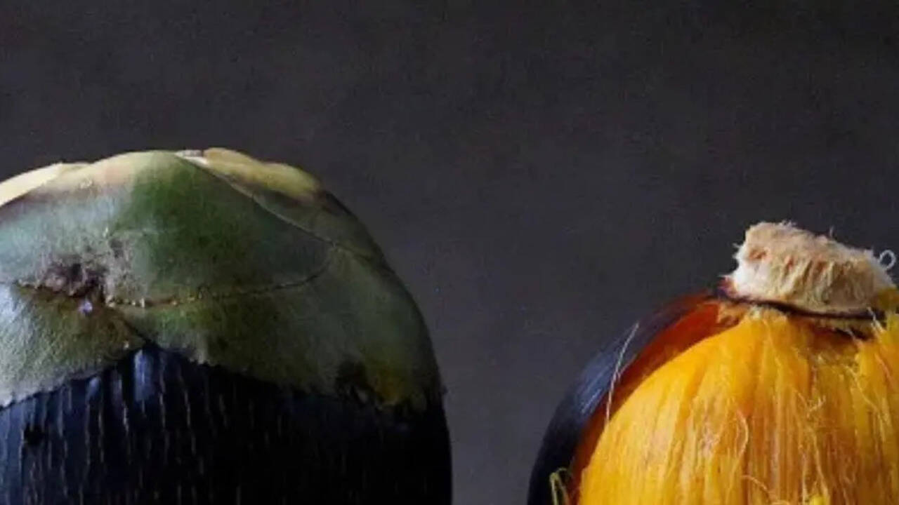 Why Should You Incorporate Ice Apple In Your Diet This Summer?