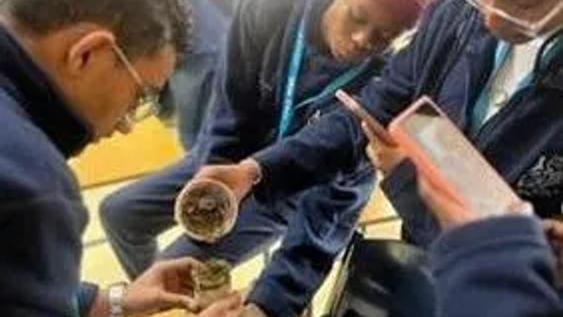 STEM careers are crucial to combat climate change