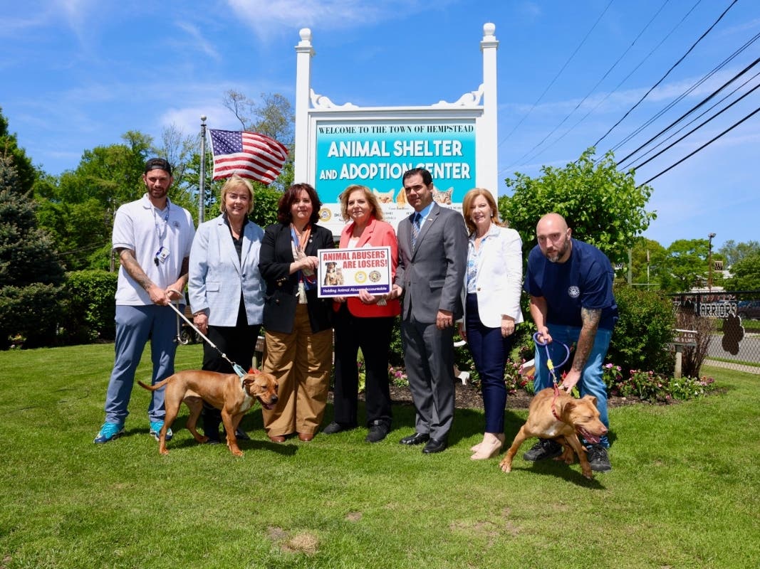 D.A. Blames 'Cashless Bail' Law for Setting Animal Abusers Free