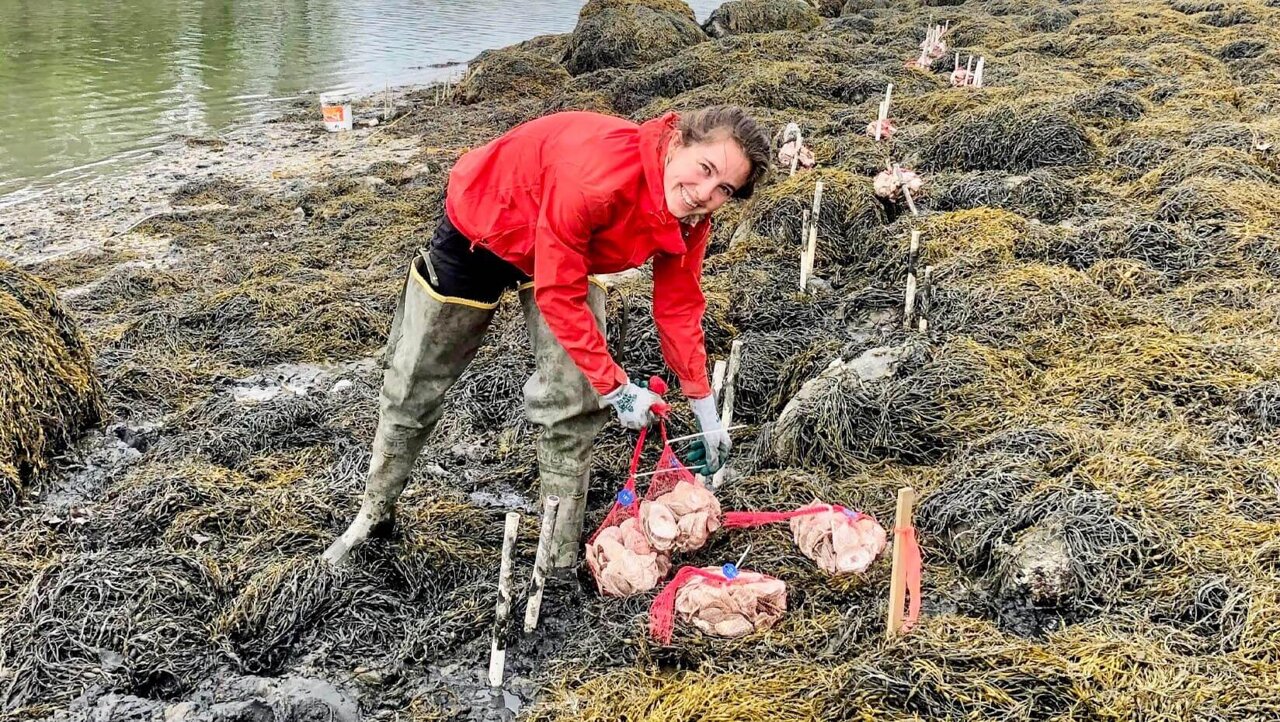 Documenting local shellfish harvesting trends, changes