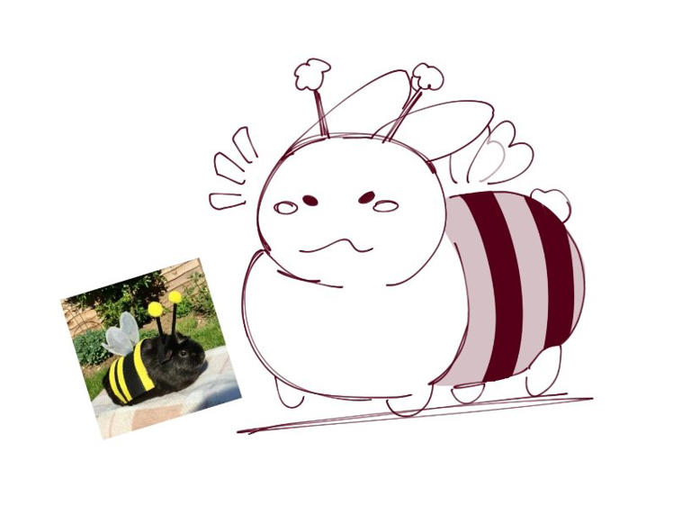 Who Is 'Gubby' And Where Did He Come From? Memes About The Rabbit Dev ...