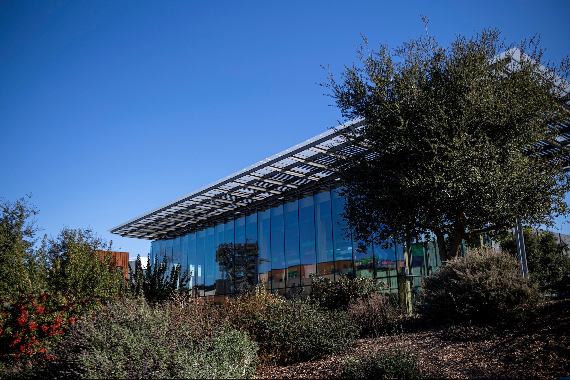 Microsoft Is Laying Off Over 6,000 Employees, About 3% of Its Workforce ...