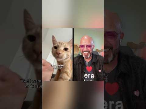 When It Comes To Breakfast, Cats Do Not Believe In Being Fashionably ...