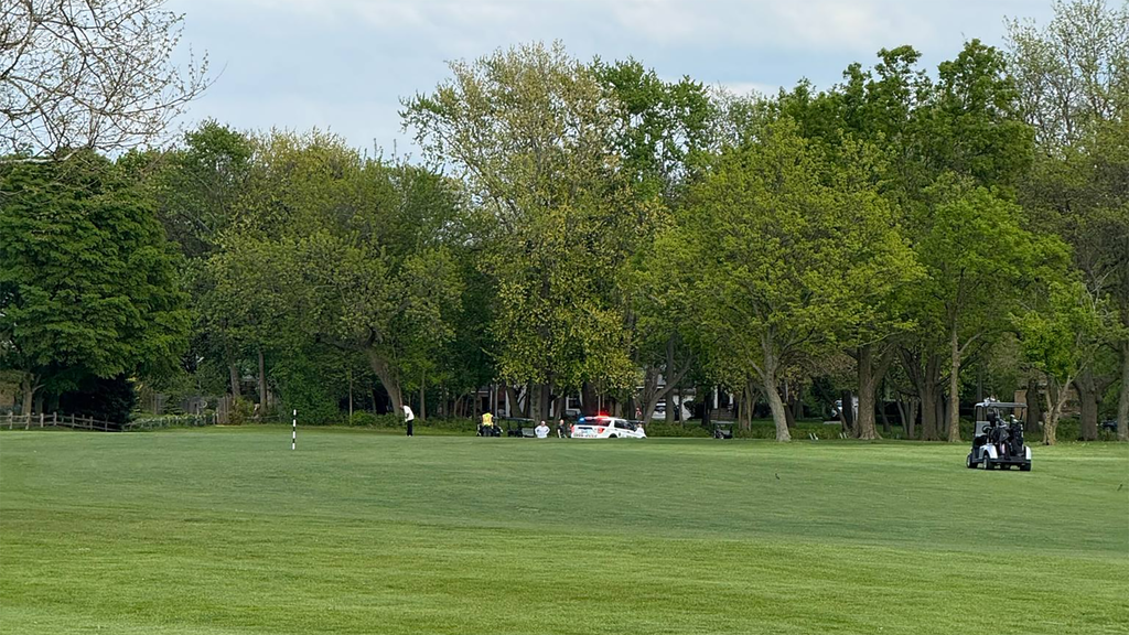 Golfer injured, driver arrested after car careens through Billy ...