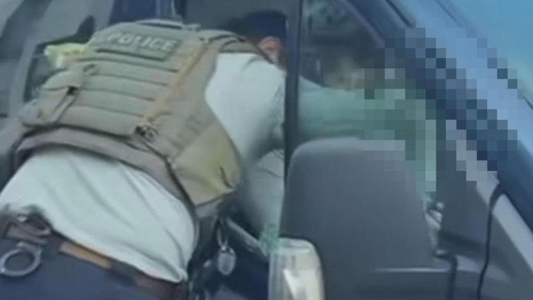 Video shows ICE agent smash van window to get man in Massachusetts ...