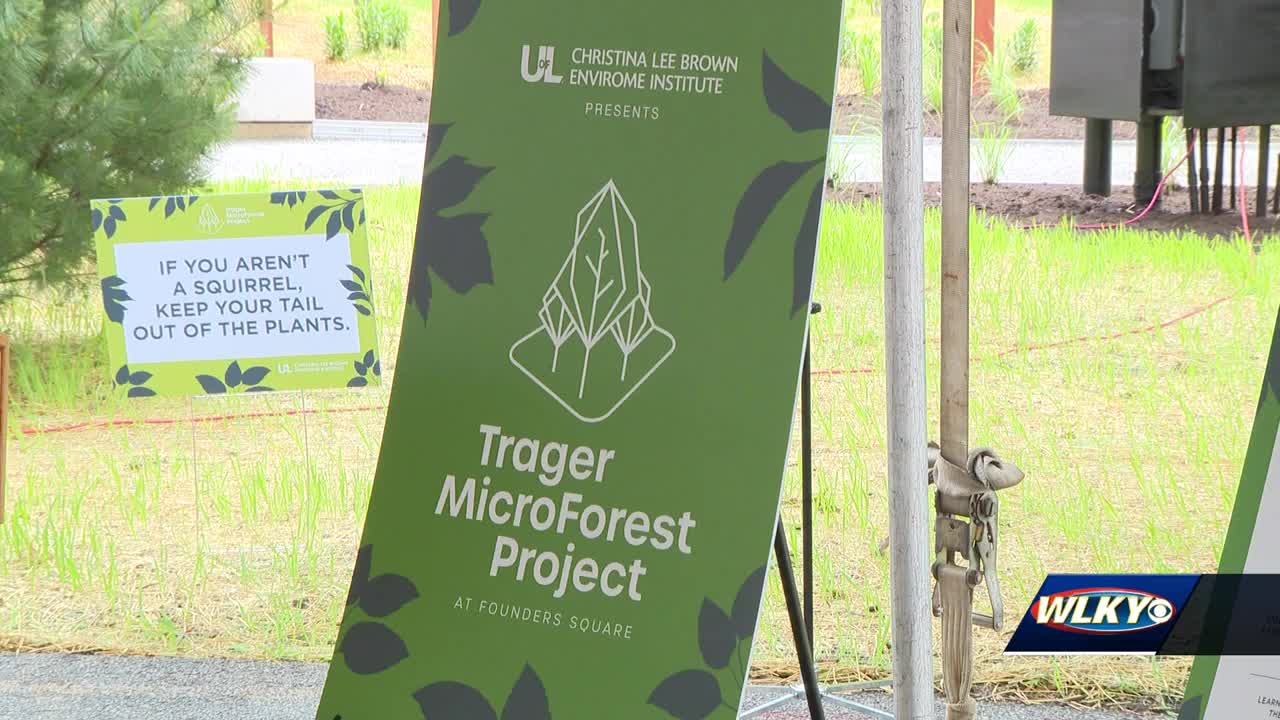 UofL opens microforest in downtown Louisville