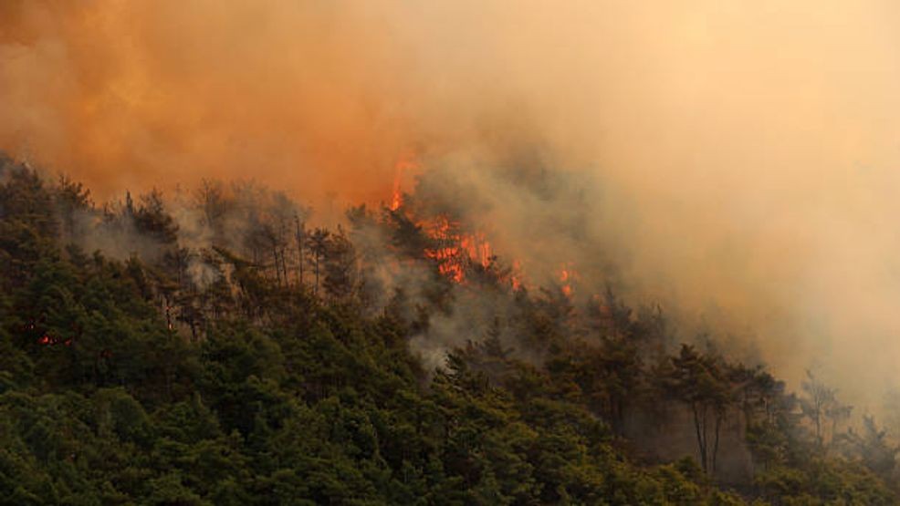 Firefighters battle Reverse Fire in Gillespie County, blaze 45% contained
