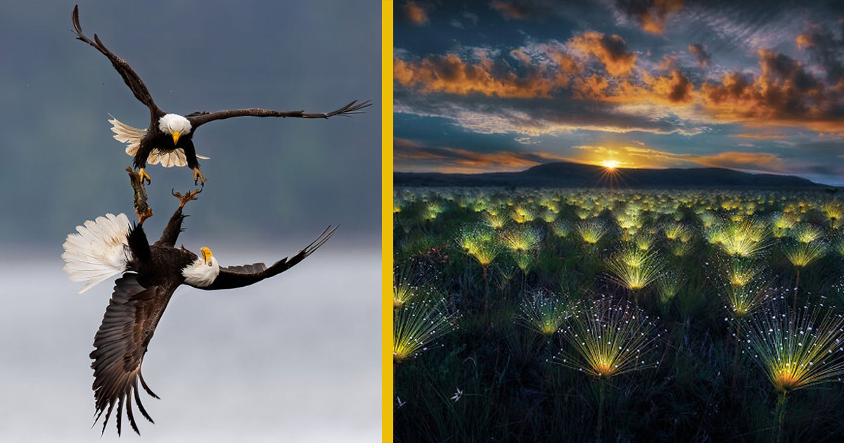 33 Amazing Photographs of Life and Nature on Earth