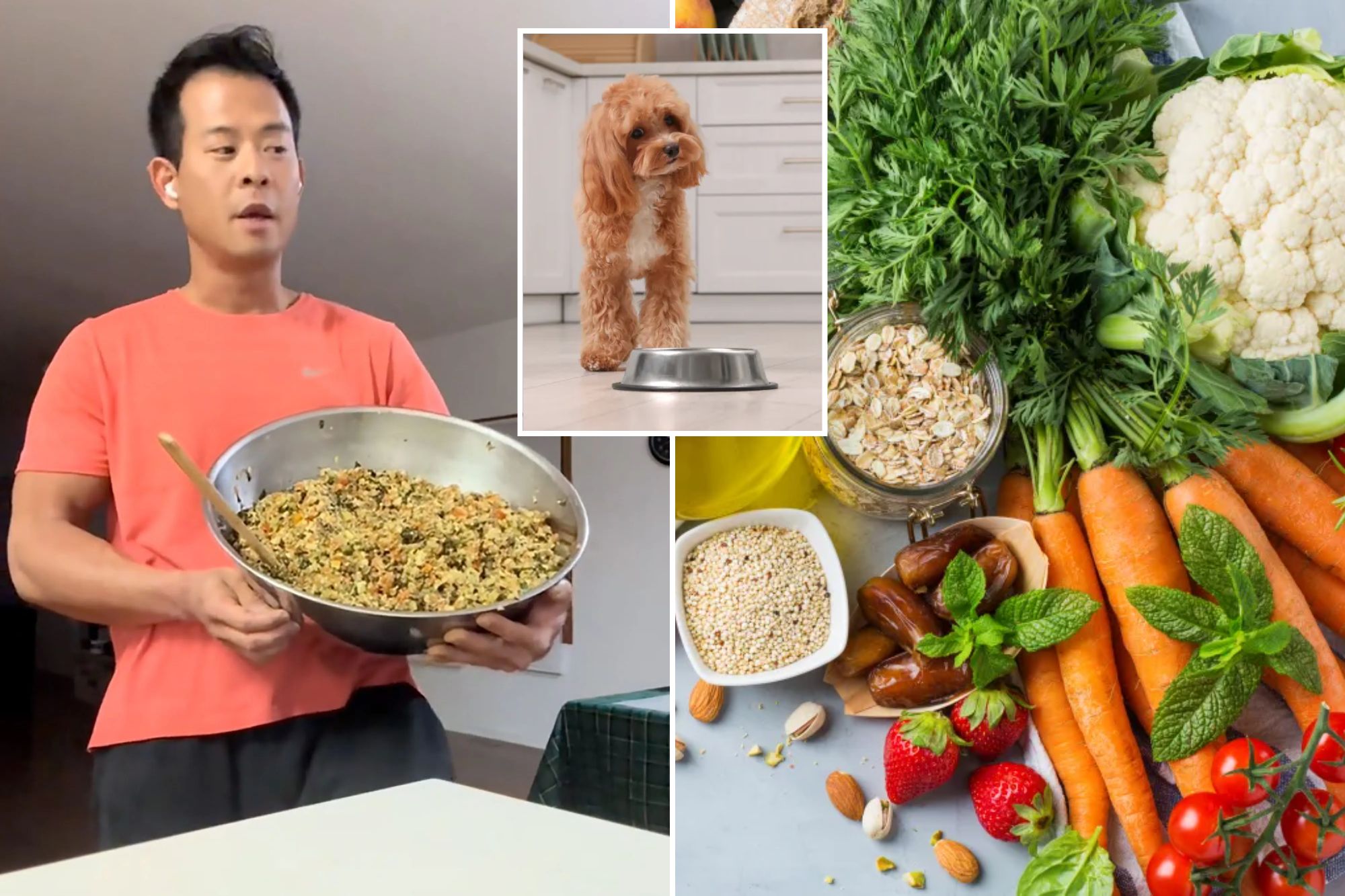 Is ‘human kibble’ the easiest healthy eating hack? Dietitian weighs in ...