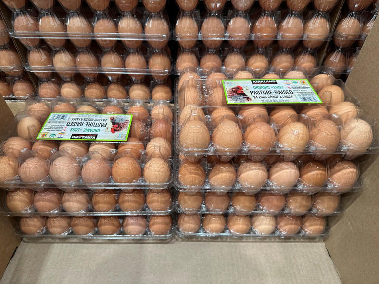 Retail egg prices fall for first time in months — but remain stubbornly ...