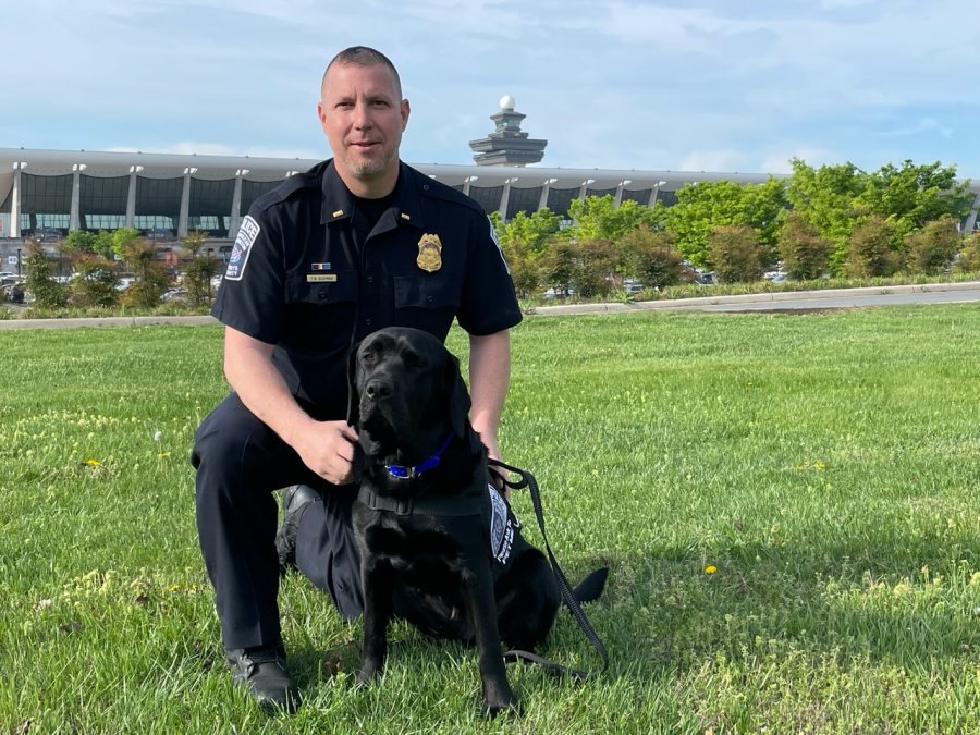 Meet Tiller: The airport facility dog helping DCA, IAD first responders ...