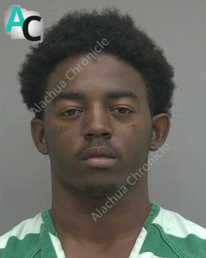 Gainesville man arrested after allegedly pulling a gun during domestic ...